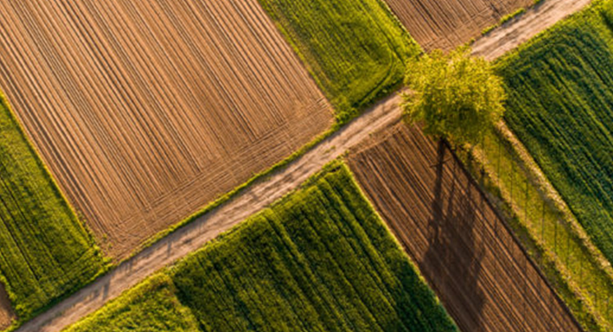 Your Guide to Donating Complex Assets - Greater Horizons